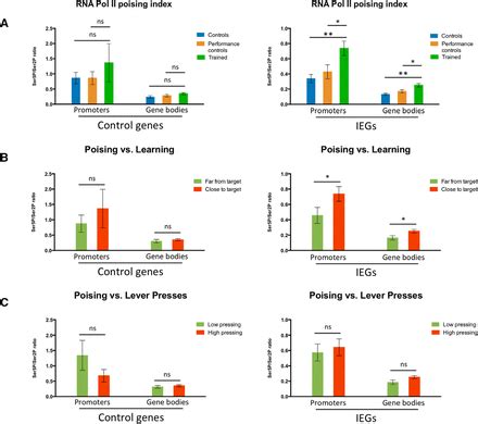 Skill Learning Modulates Rna Pol Ii Poising At Immediate Early Genes In