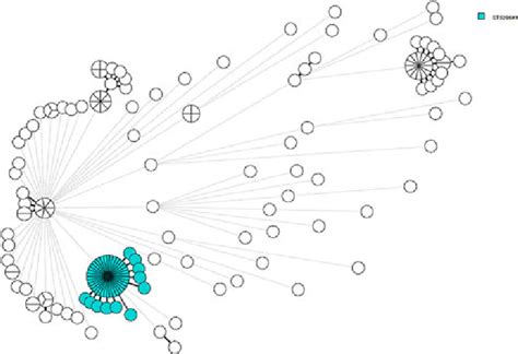 A Minimum Spanning Tree Calculated On Cgmlst In Bionumerics All Human