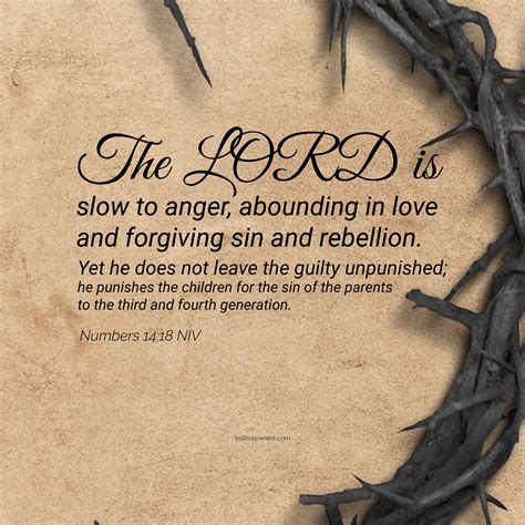 Numbers 1418 ~ Daily Devotion August 2 2023 Daily Devotional