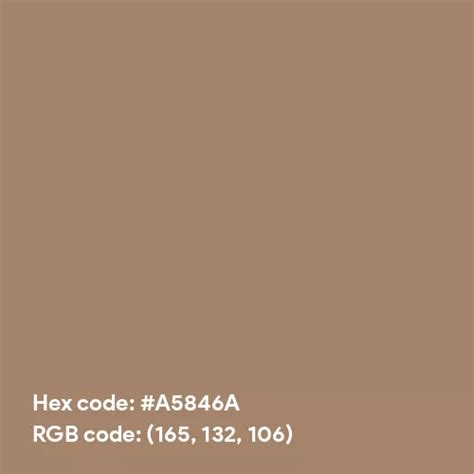 Cork Color Hex Code Is A5846a