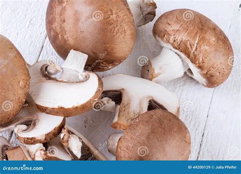 Diced And Whole Agaricus Brown Button Mushrooms Stock Image Image Of