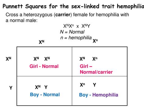 Oct 31 2018 You Need Clean Paper 2 Pencil Inheriting A Genetic