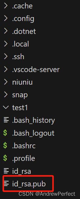 Vscode通过ssh连接服务器实现免密登录删除(吐血总结)vscode Ssh Csdn博客 Vscode通过ssh连接服务器实现免密登录删除(吐血总结)vscode Ssh Csdn博客