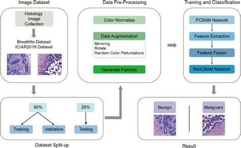 Convolutional Neural Network With Parallel Convolution Scale Attention