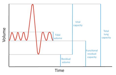 How To Interpret Spirometry Graph At Trudi Abbas Blog