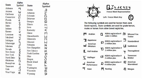 KryoKineticsUSA How To Read A Freeze Mark Kryokineticsusa Com