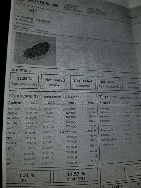 Greenerush Snow White Cbg Lab Results Rhempflowers