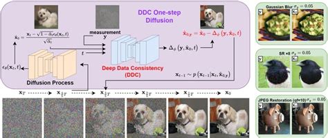 diffusion singularity