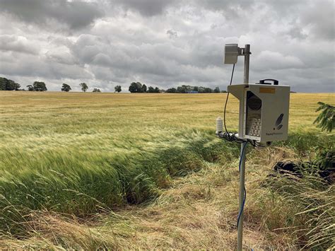 Real Time Insect Monitoring Of Biodiversity