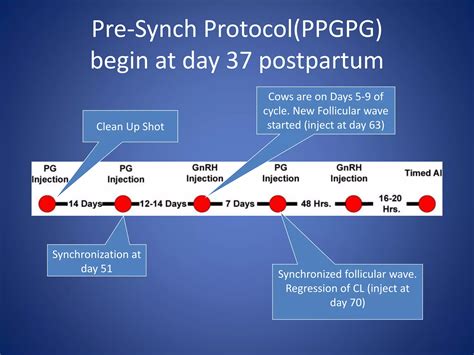 Estrous Synchronization Pptx Estrous Synchronization Pptx