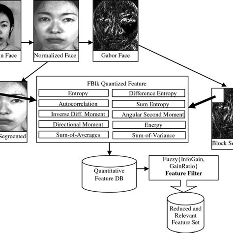 Multi Featured And Fuzzy Filtered Framework Download Scientific Diagram