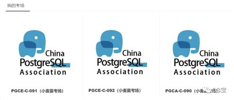 【pg】小麦苗pgcapgce第12期证书邮寄 墨天轮