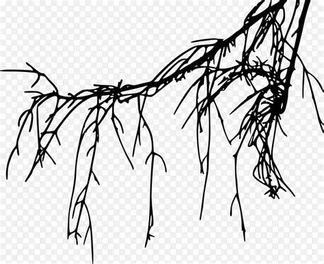 m csf系列植物茎叶绘制图PNG图片素材下载 图片编号 PNG素材网
