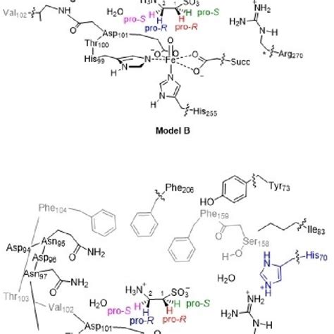 DFT Cluster Models B And C Used In This Work Wiggly Lines Show Where Download Scientific