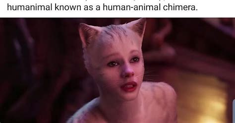 I Wonder If This Means Ill Be Able To Get My Genetically Engineered Catgirls Now Album On