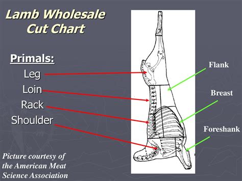 Retail Meat Identification Ppt Download