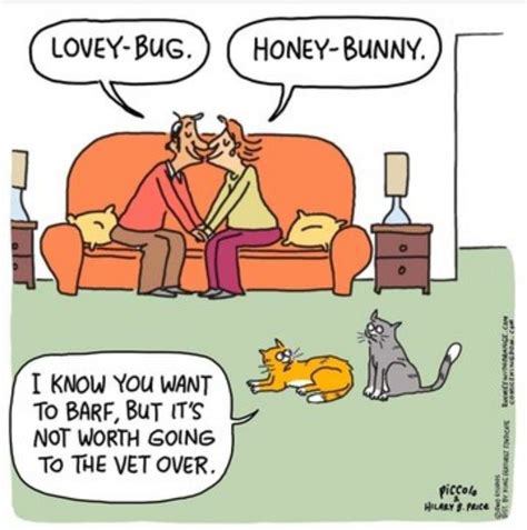 Hannah Hillam Introduces New Cat In Comics Artofit