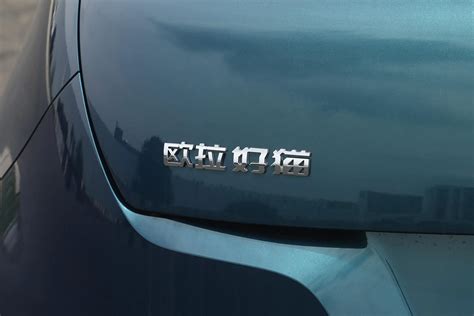 Gwm Ora Funky Cat Guangcaiauto