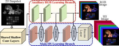 Figure 1 From Hyperspectral Reconstruction Using Auxiliary Rgb Learning From A Snapshot Image
