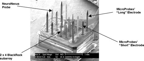 Figure 21 From Development Of Tools For A 3d Reconstructed Intracortical Volume Around