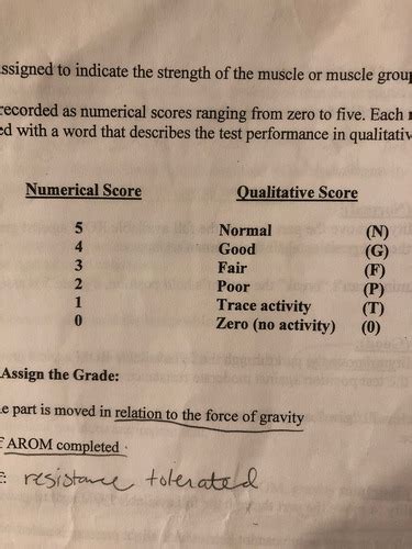 Manual Muscle Testing Flashcards Quizlet
