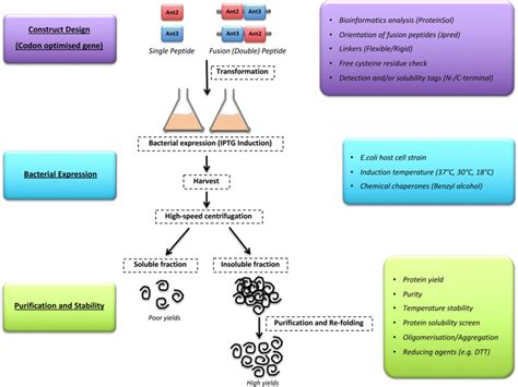 Flowchart And Guide For The Optimised Expression And Purification Of