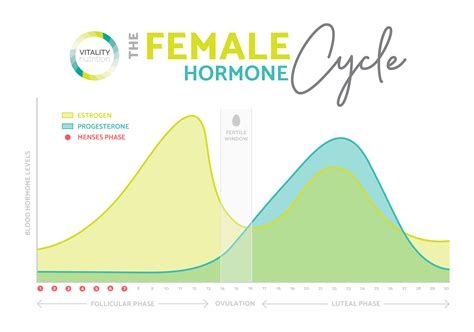 Why Your Bloated And Dietitian Tips To Promote Comfort