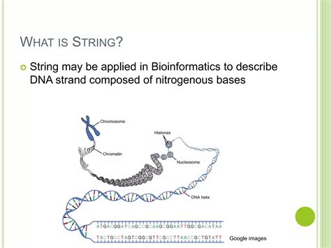 String Matching Algorithms PPT