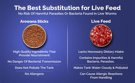 Intan Arowana Sticks Small 2x6mm Floating 120gm Highly Nutritious