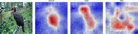 the figure shows the relax explanation for two deep learning based