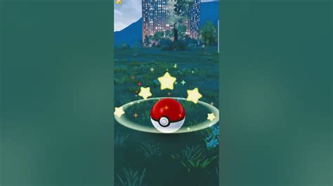 포켓몬고알로라 라이츄 Youtube