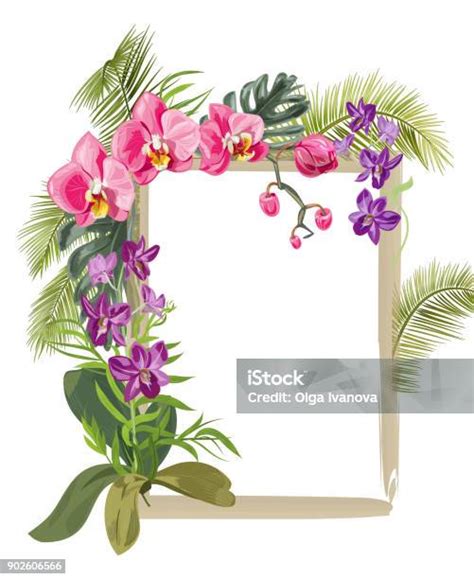 열 대 사각형 프레임 꽃다발 빨간색 보라색 난초 꽃과 싹 그린 팜 대나무 흰색 배경 디지털 그리기 그림 디자인 템플릿 Monstera 잎 벡터 대나무 벼과에 대한 스톡 벡터