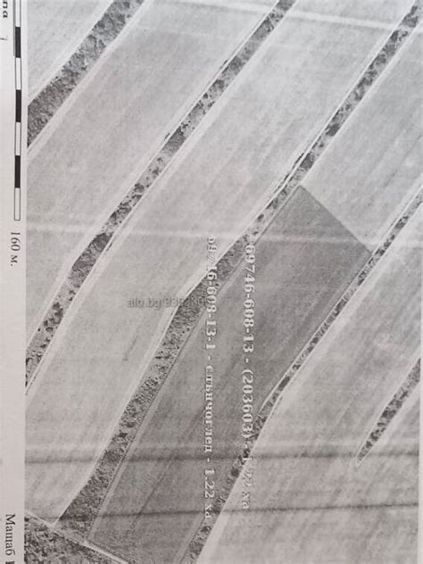 Страцин Земеделска земя Земеделска земя 13500 кв м шеста категория Земеделска земя градини