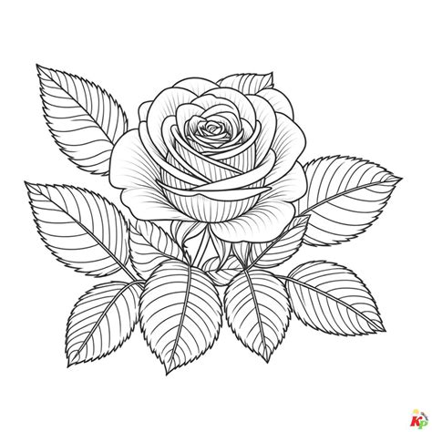 Roos Kleurplaten Ontdek De Pracht Van Bloemenpracht