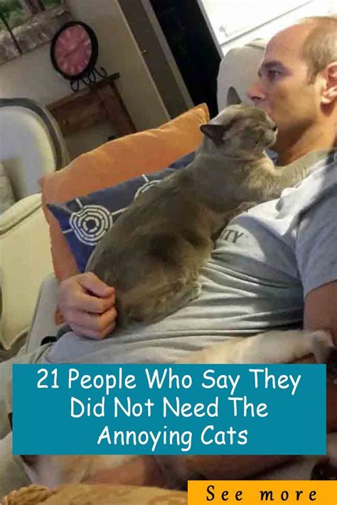 Kitty Chronicles Unveiling The Purrfect Magic Of Cats Artofit