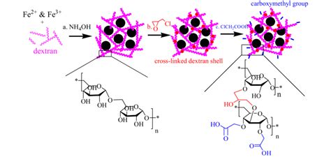 Synthetic Route Of Carboxymethyl Activated Cross Linked Download Scientific Diagram