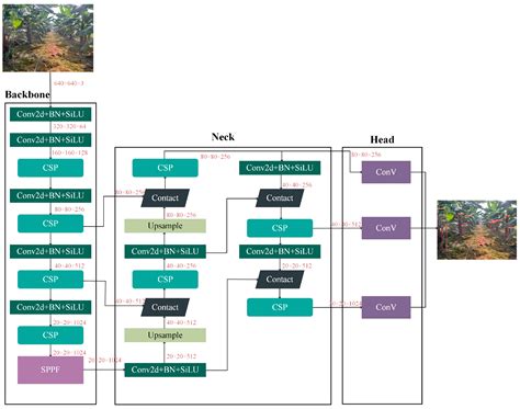 Agronomy Free Full Text Deep Learning Based Trunk Perception With Depth Estimation And Dwa