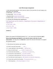 Lab 2 Microscope Assignment Answer Sheet Docx Lab 2 Microscope Assignment 1 After Observing