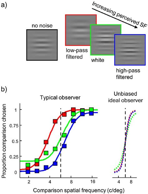 Spatial Frequency Perception Is Biased In Filtered Noise A The