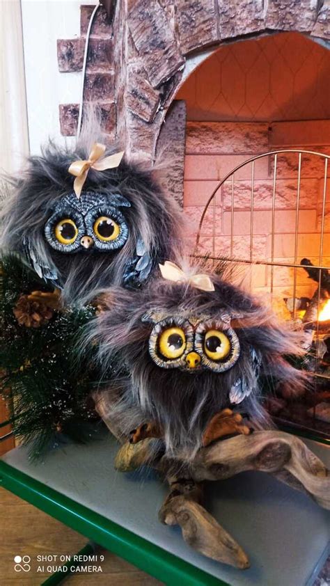 Совушки Пикабу