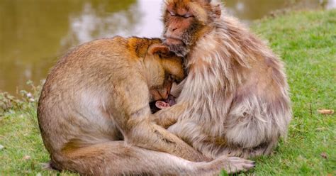 The Future Of Threat Intelligence How Ai And Predictive Analytics