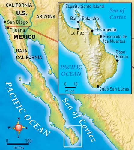 Map Of Cortez