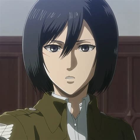 Mikasa Ackerman Six Pack