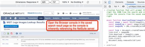 How To Selectively Download Netsuite Cabinet Files