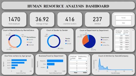 Dataanalysis Meriskill Hranalytics Hranalyst Dataanalytics