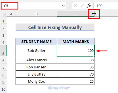 How To Fix Cell Size In Excel Quick Ways ExcelDemy