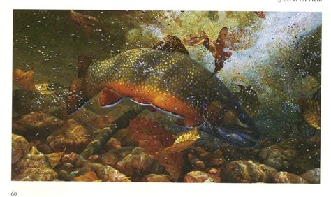 Artworks By Mark Susinno 94 работ Картины художники фотографы на Nevsepic