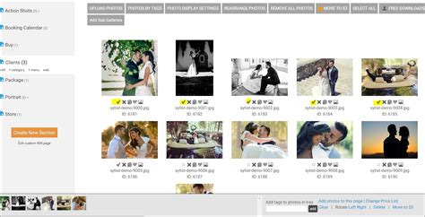 Moving Photos Sytist Manual Articles Picturespro