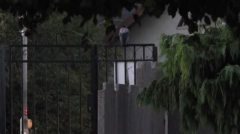 Crows Guard The Cemetery Youtube