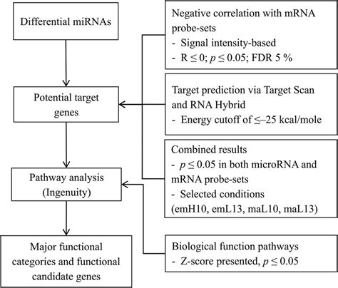 Microrna Functional Analysis Pipeline Download Scientific Diagram